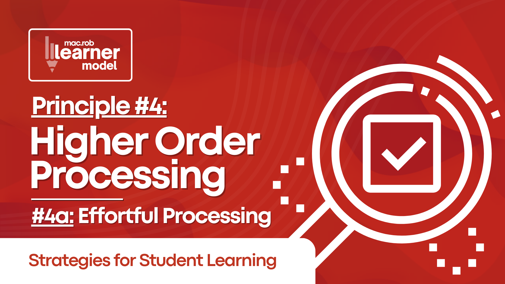 Principle #4 | Higher Order Processing — Mac.Rob Learner Model