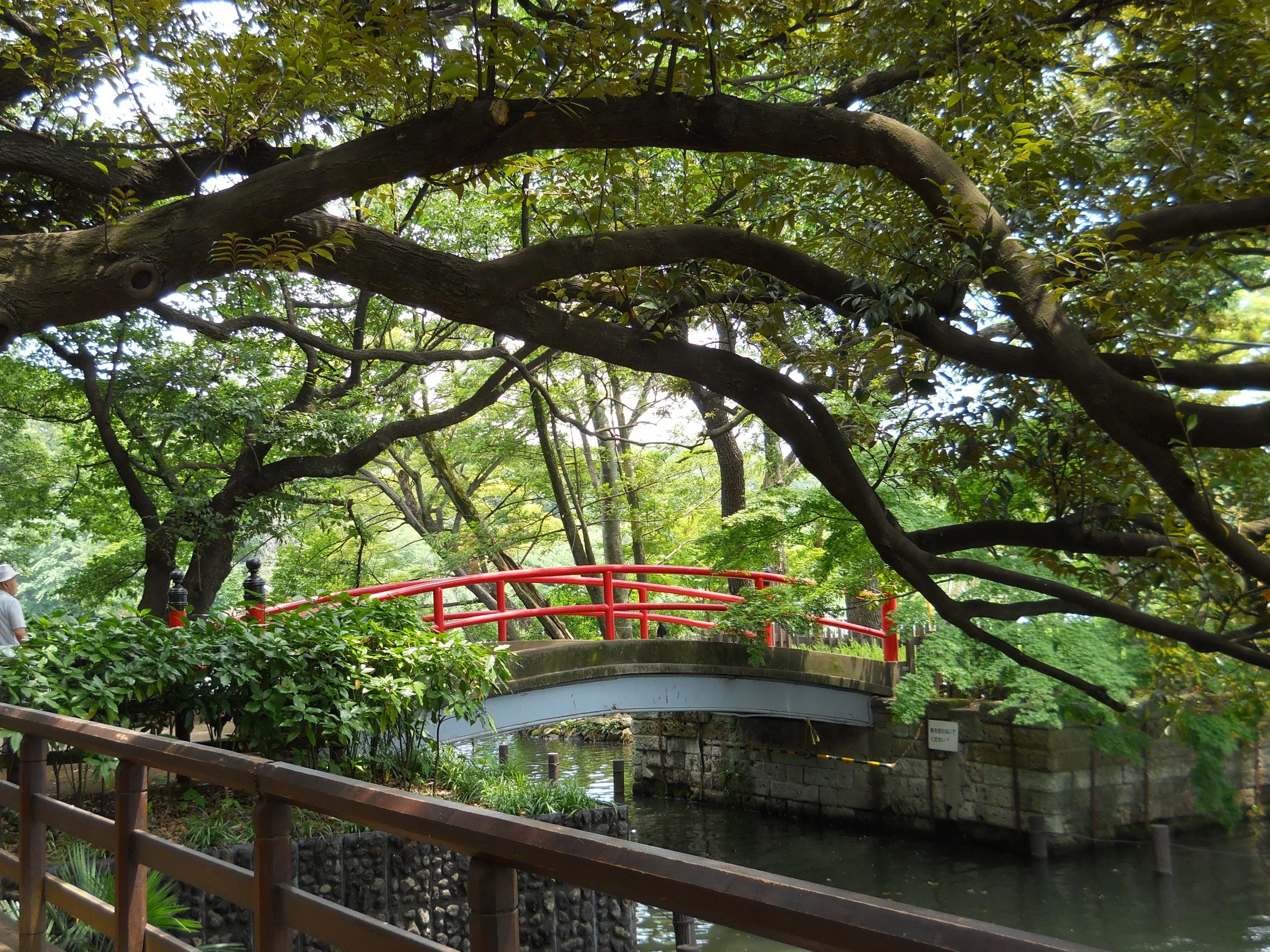 Join us! — The Di Rienzi Lab