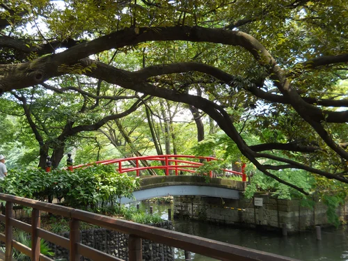 Join us! — The Di Rienzi Lab