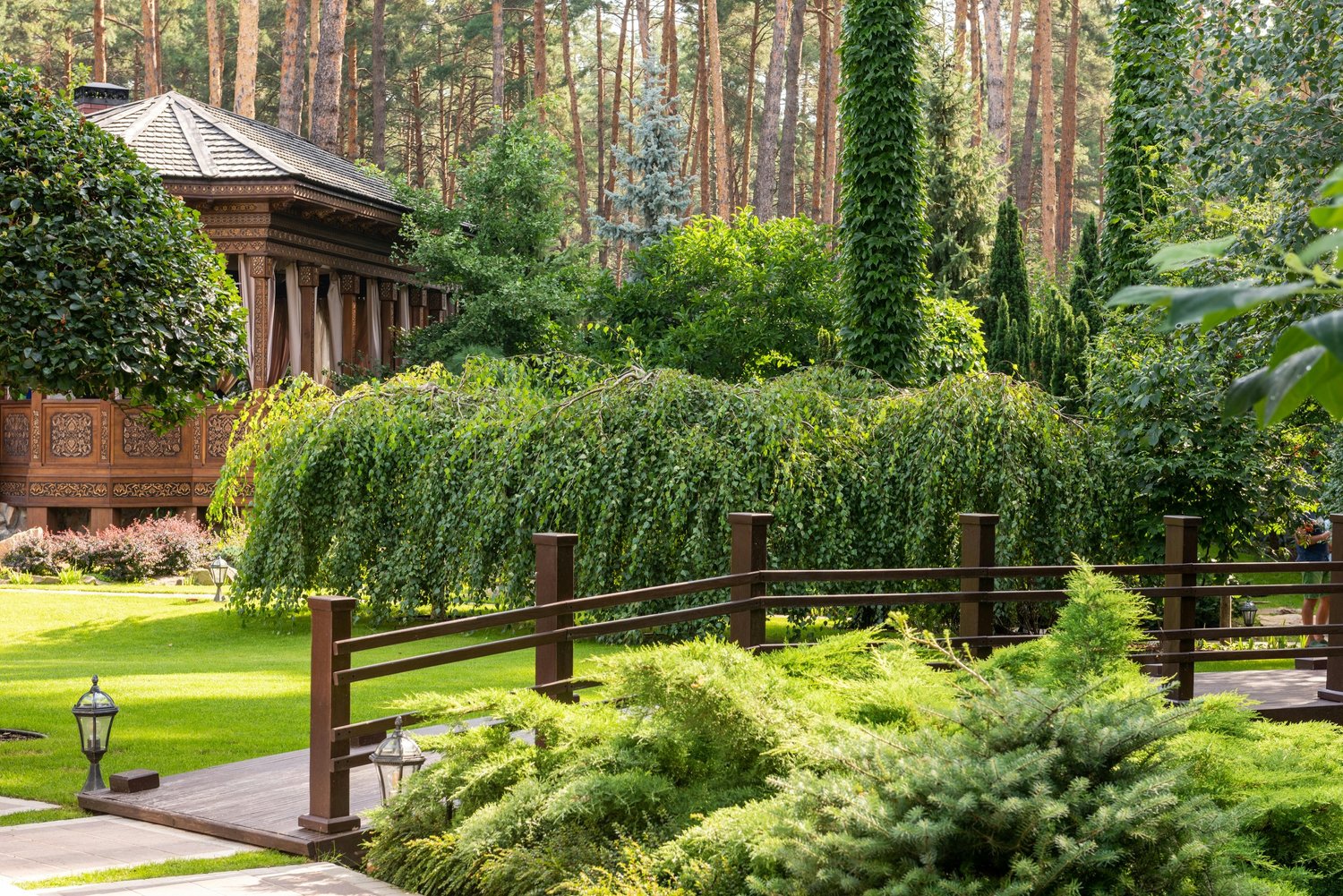 How to Plant and Maintain Healthy Shrubs