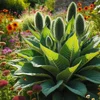 15 Stunning Spiky Plants for a Bold Garden Look