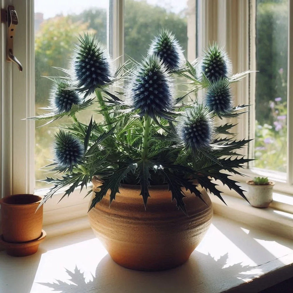 15 Stunning Spiky Plants for a Bold Garden Look