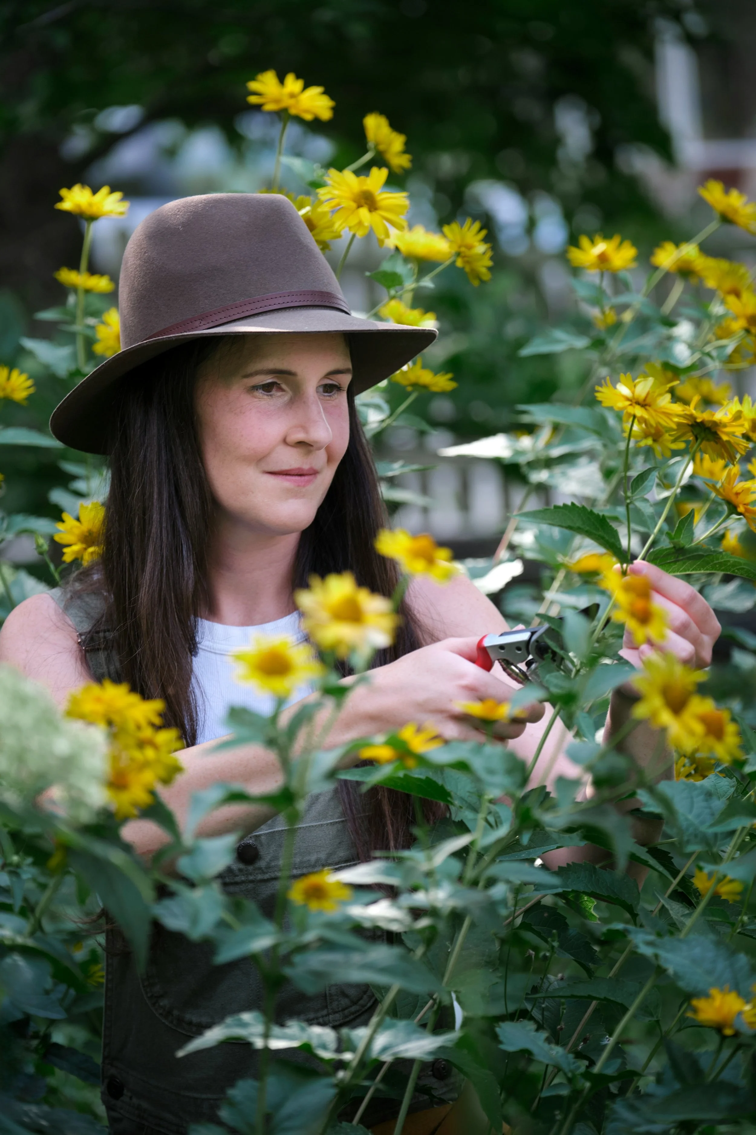 How to Grow and Care for Coreopsis in Your Garden