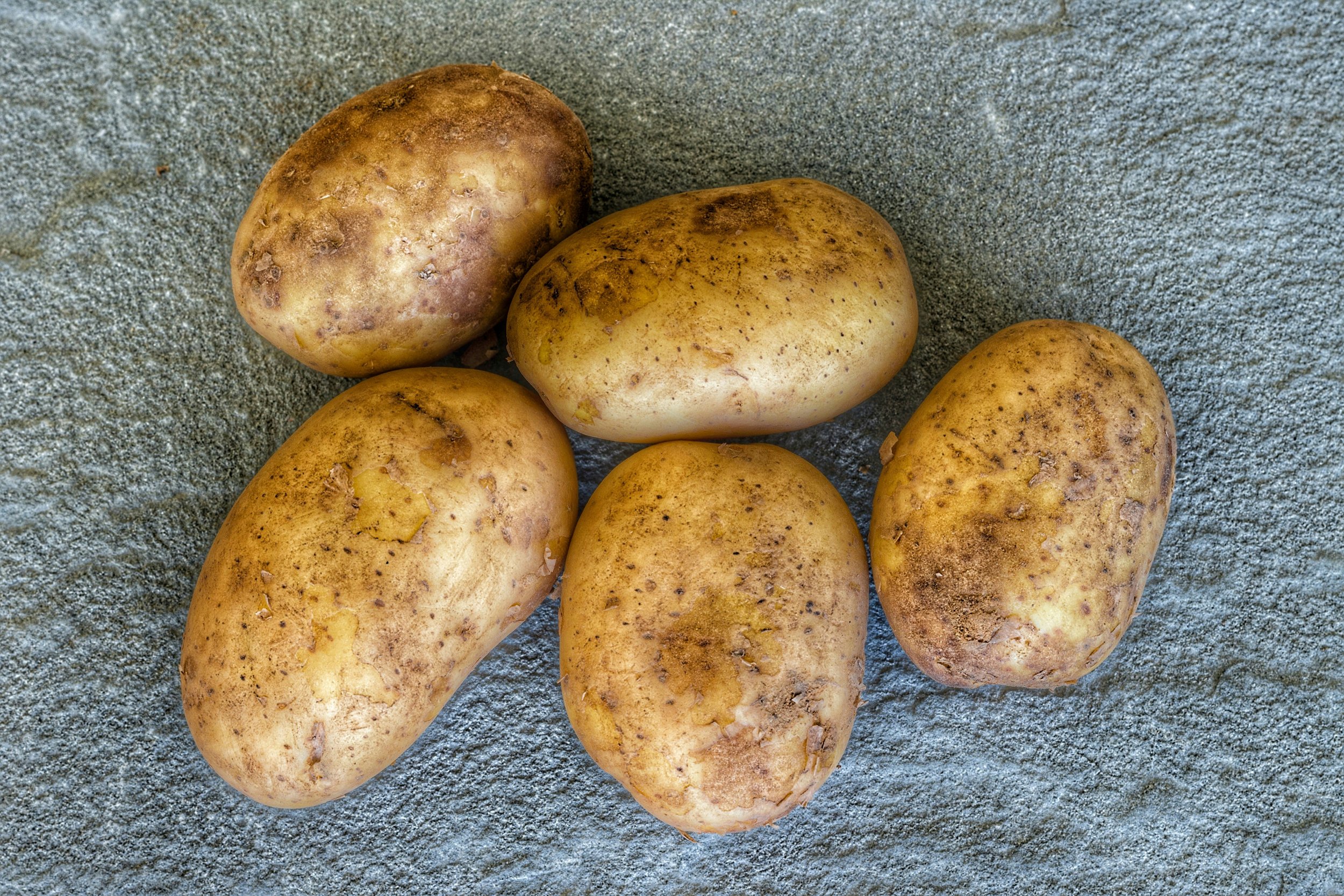 How Many Potatoes Does a Single Plant Produce?