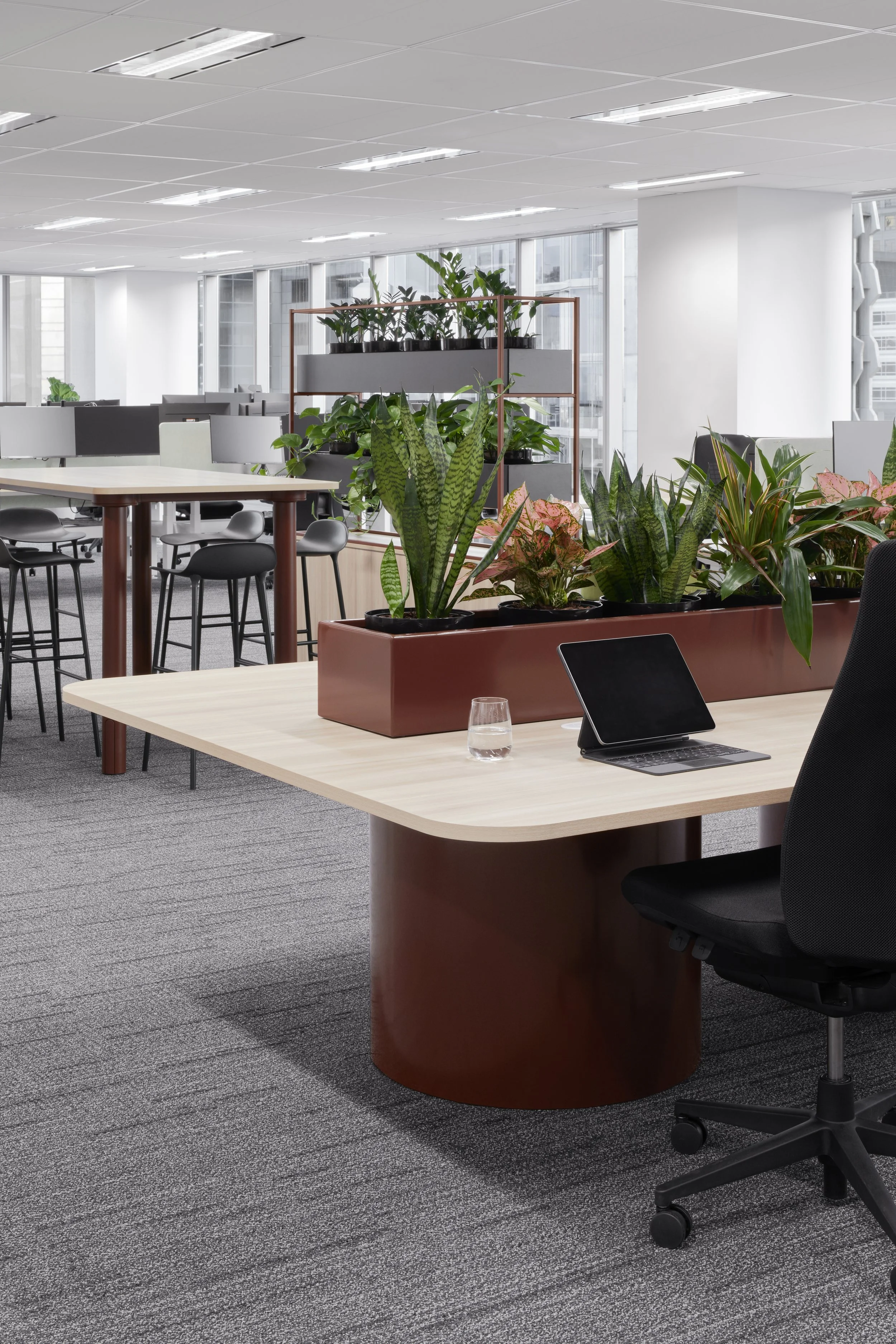 auDa — Plus Workspace