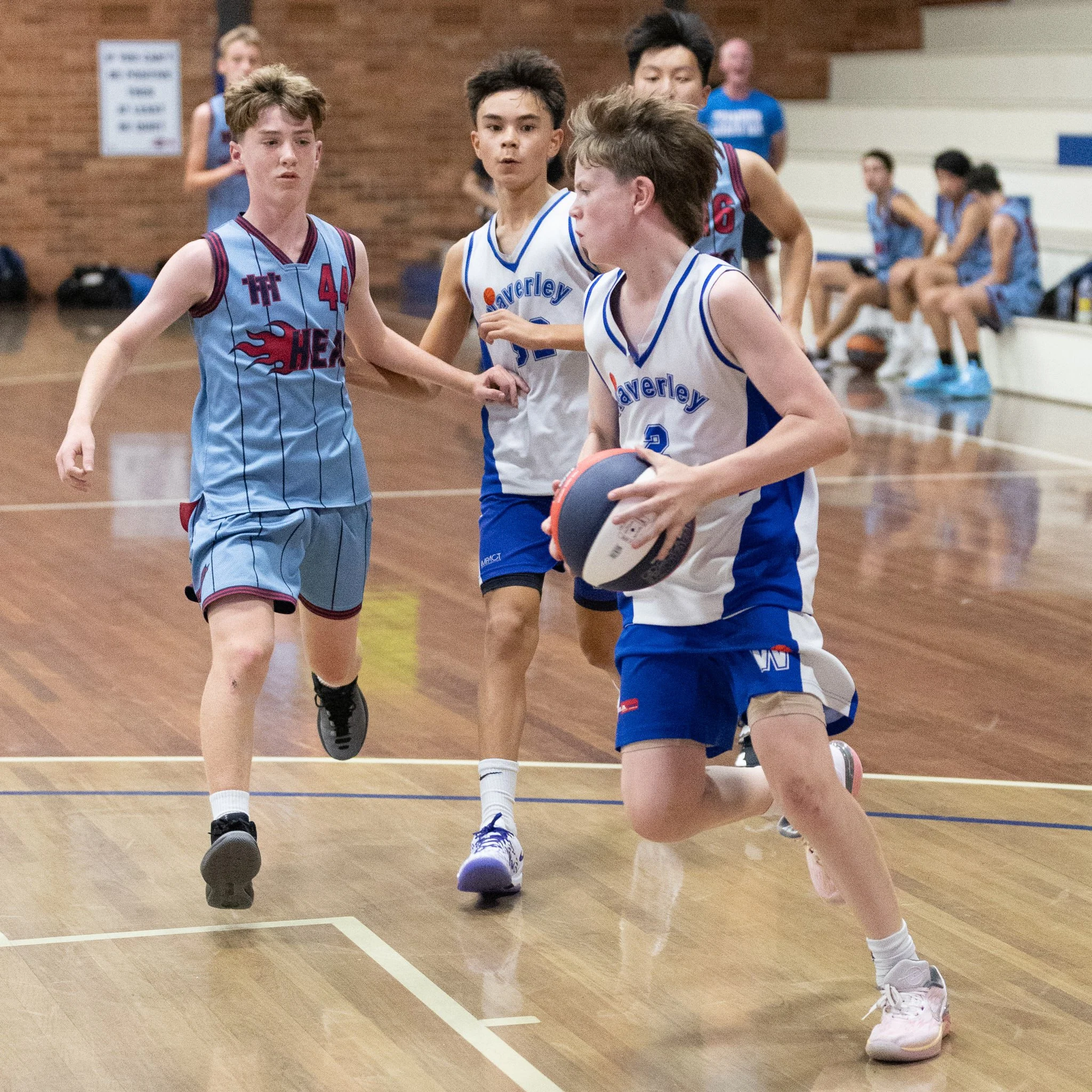 About Our Club — Waverley Basketball Club