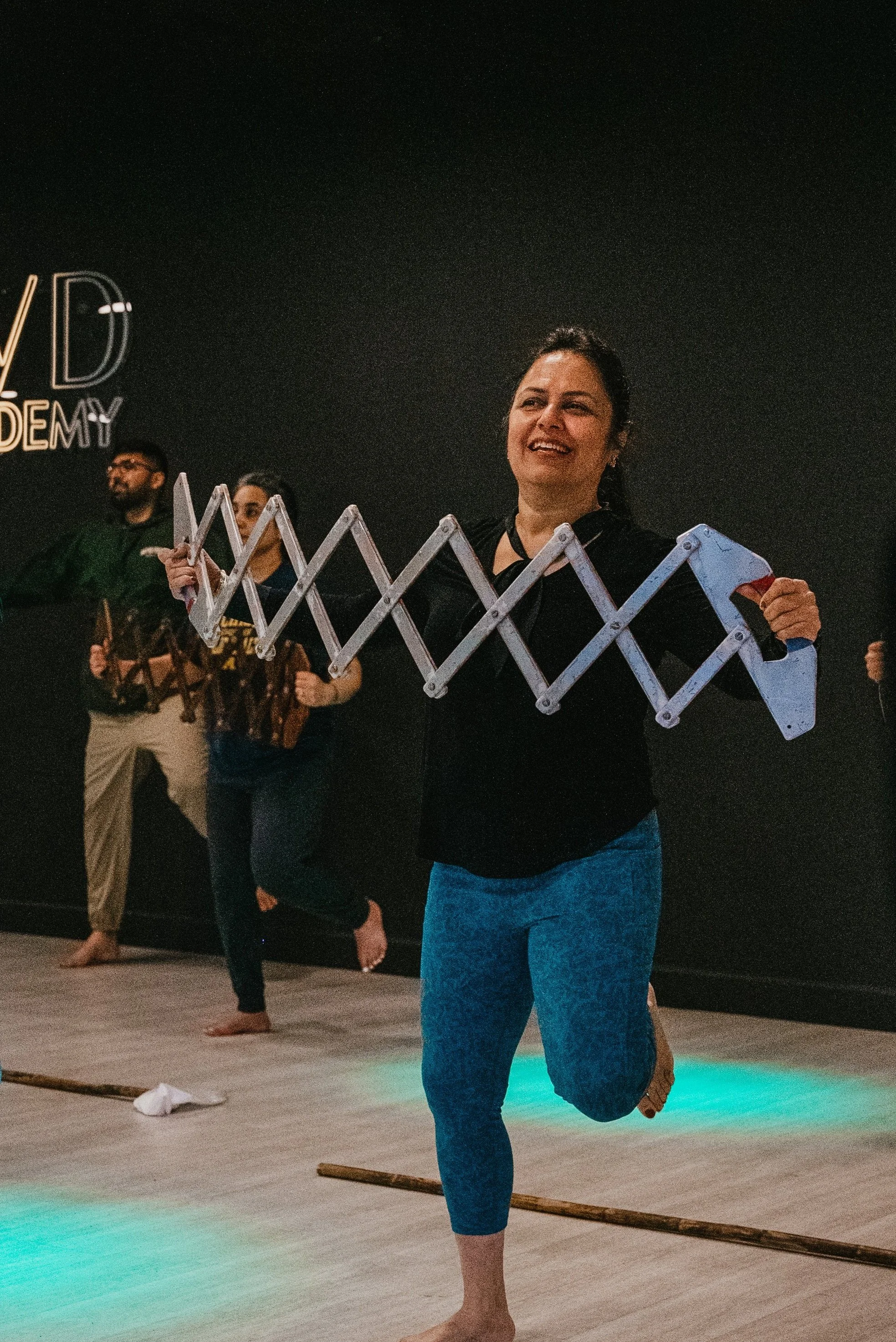 RVD Academy - Michigans Largest Bhangra Academy - Bhangra Classes & More