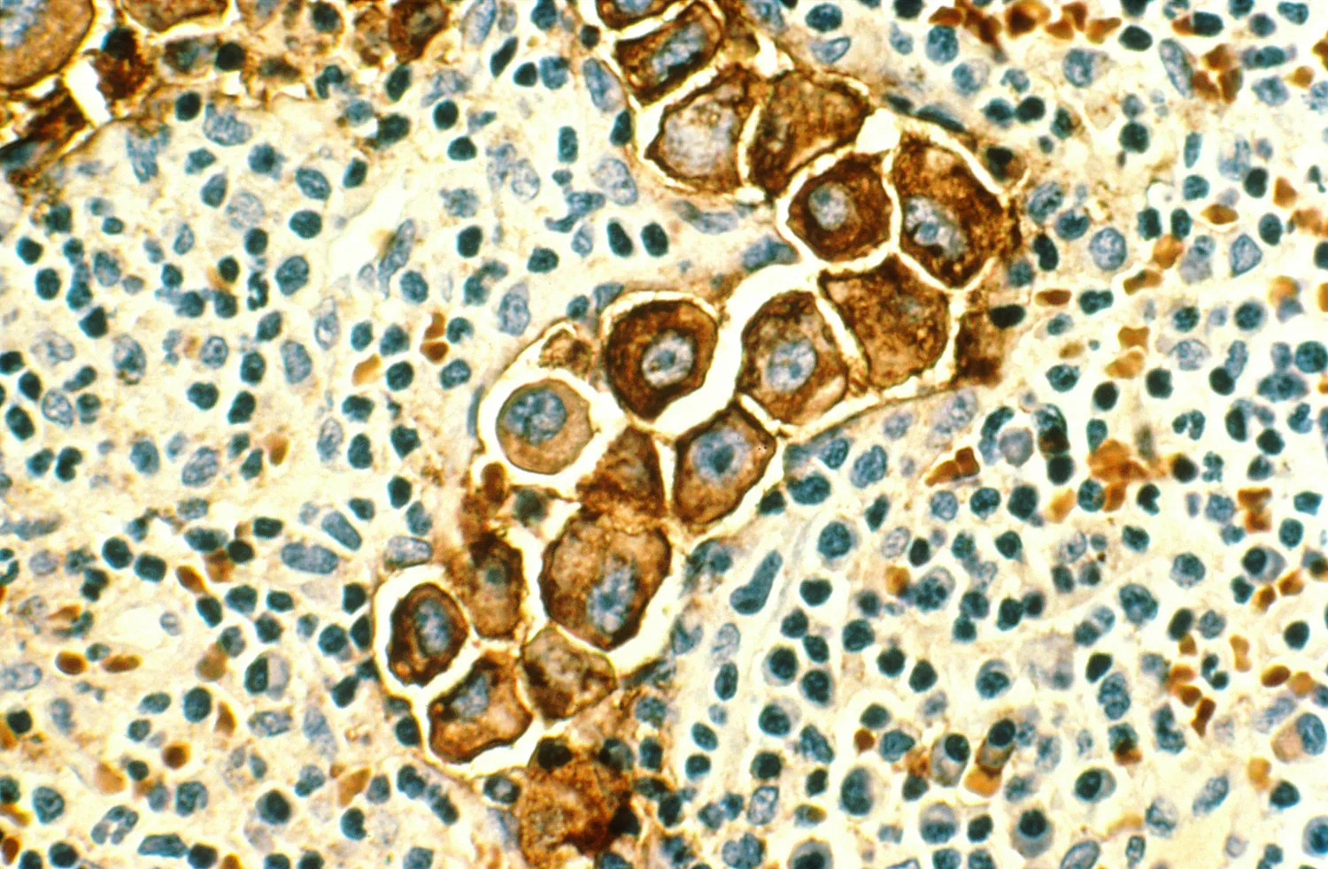 Our Research — www.qbiomed.org.uk