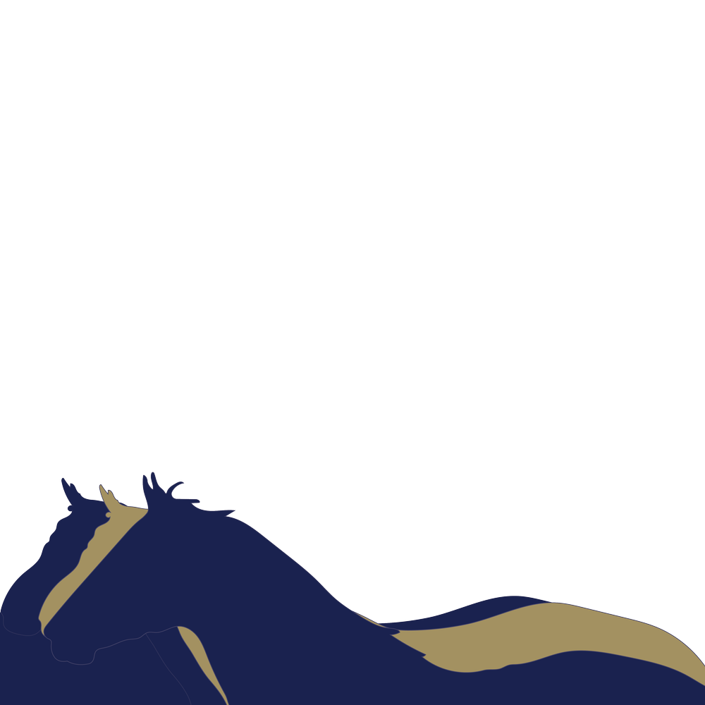 Global Equine Transport