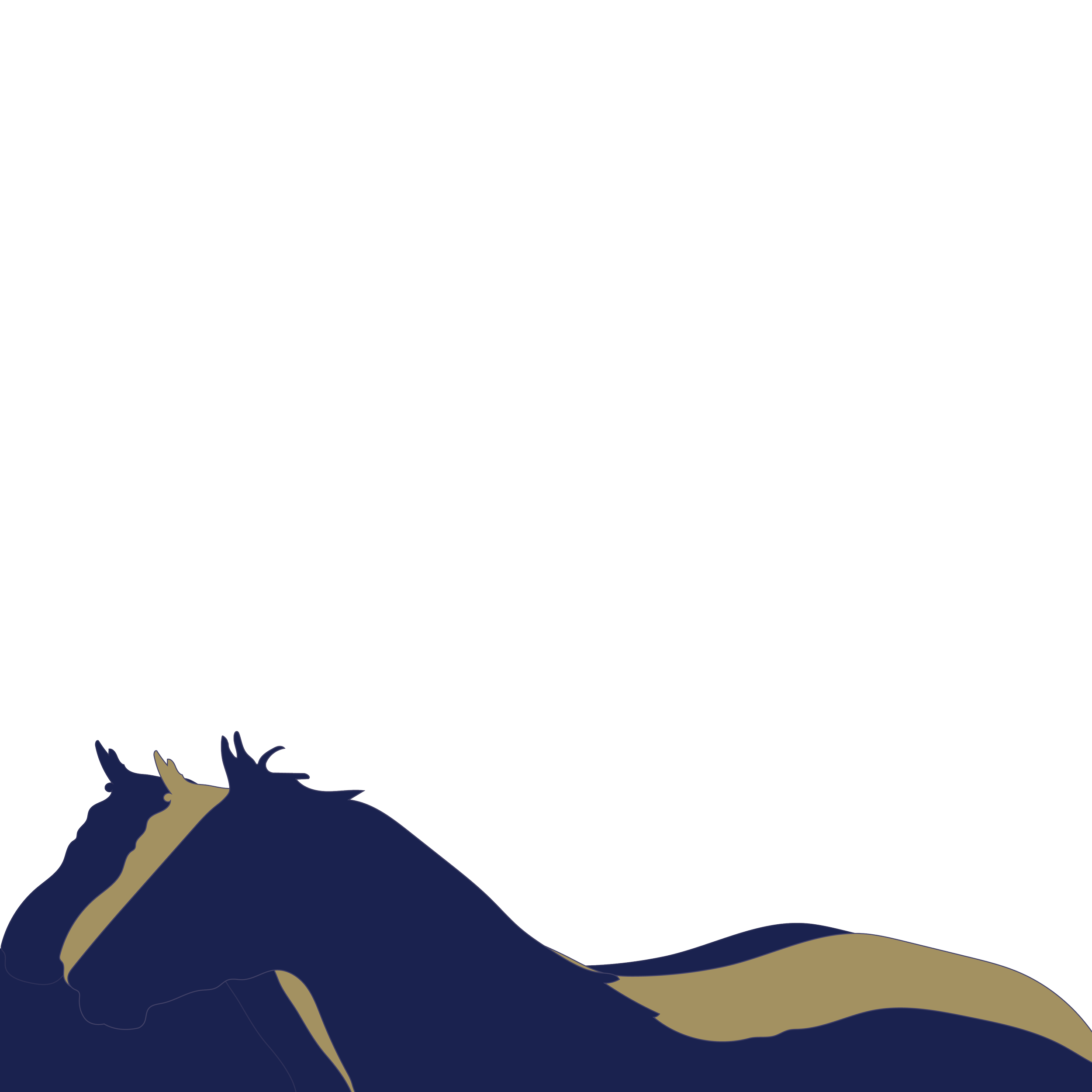 Global Equine Transport