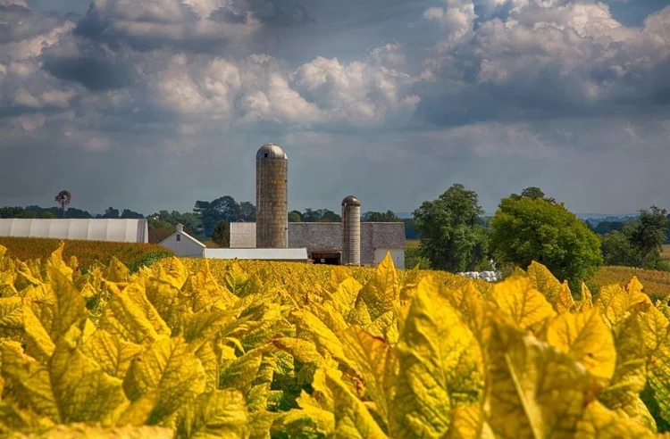 About Strasburg — Strasburg, Pennsylvania