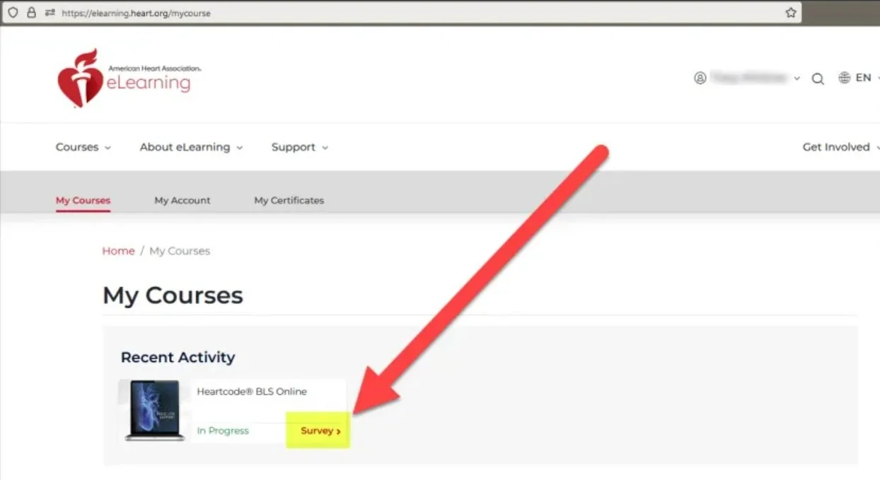 Get Your Online Course Certificates - ACLS Academy NEW