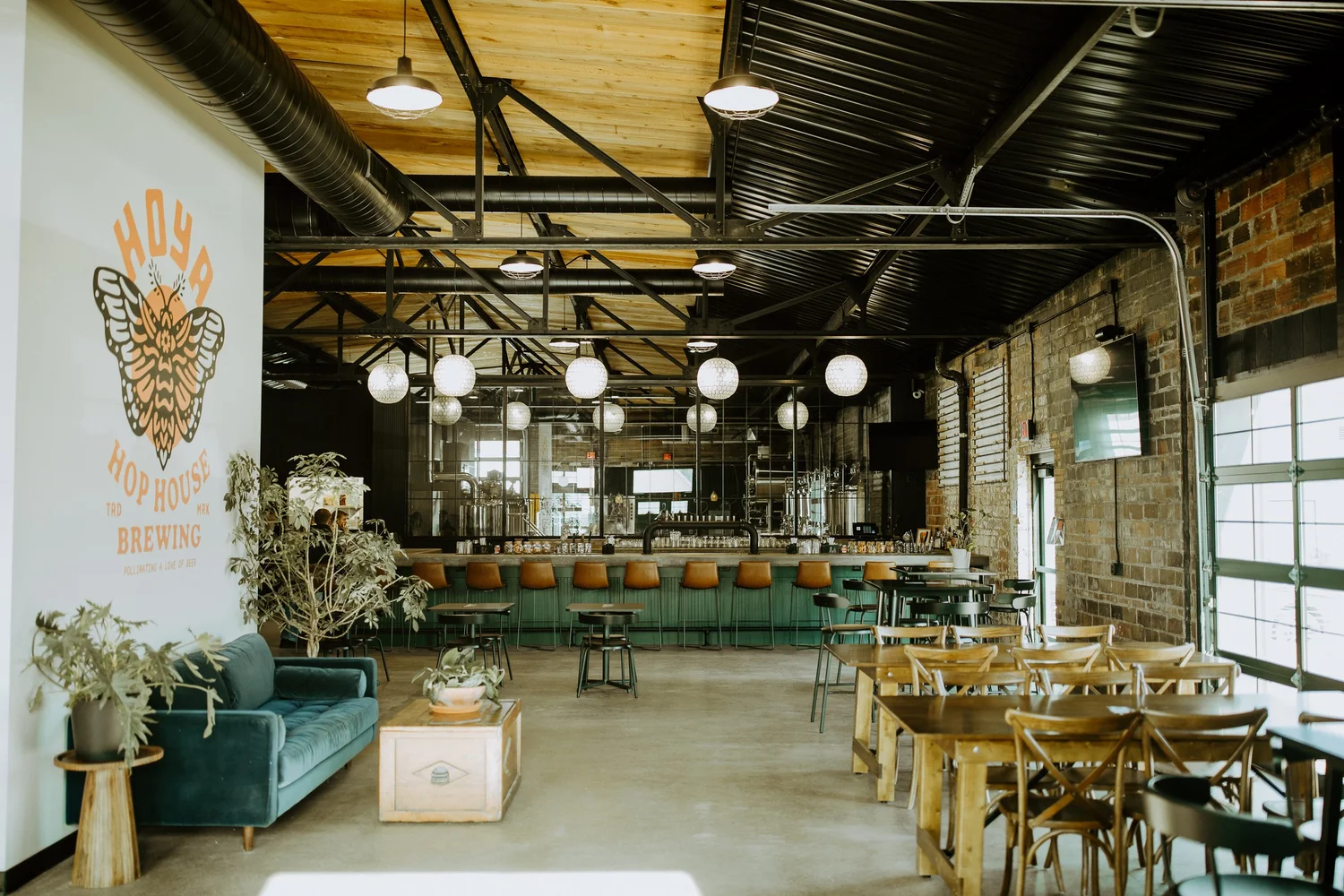 Hoya Hop House Brewing