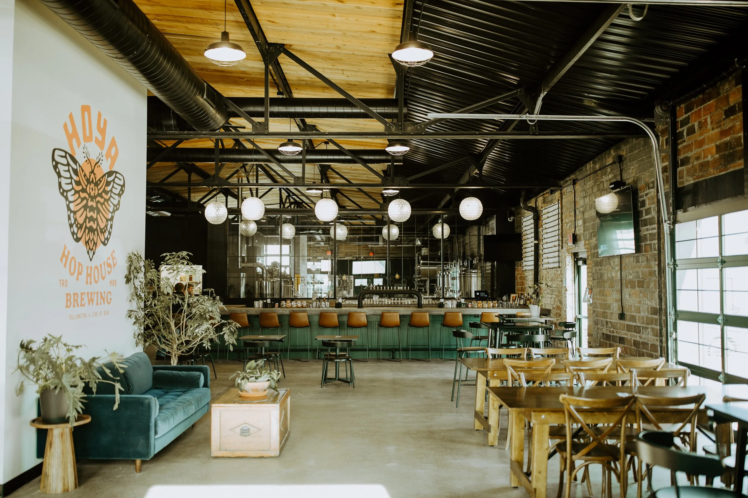 Hoya Hop House Brewing