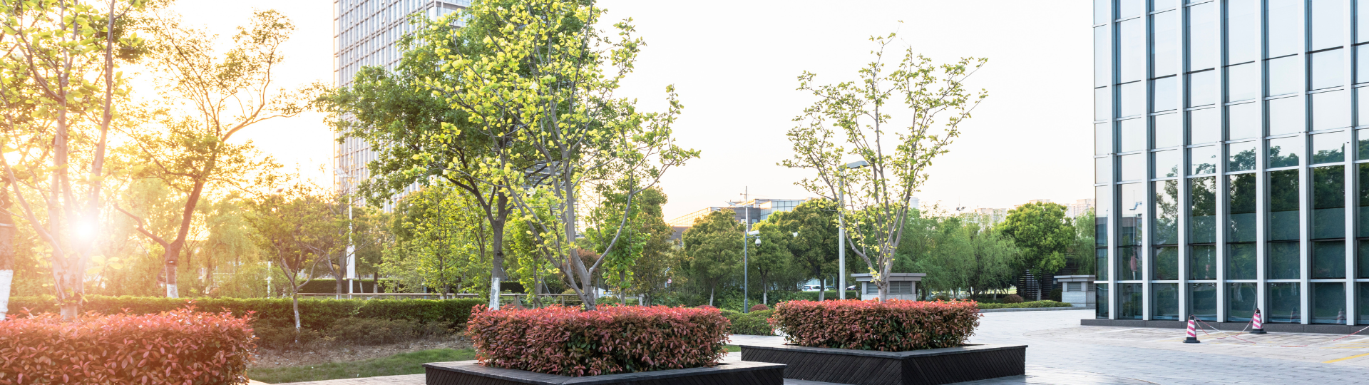 Curb Appeal for Business: Why Professional Landscaping Matters for ...