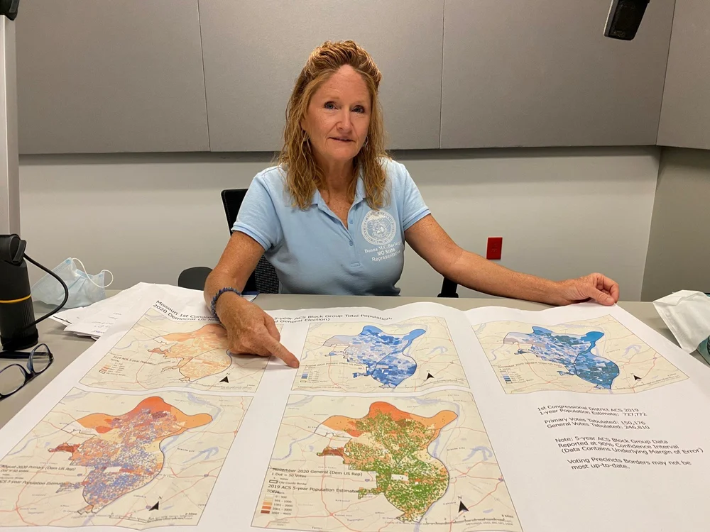 Donna's Work — Donna Baringer for St. Louis