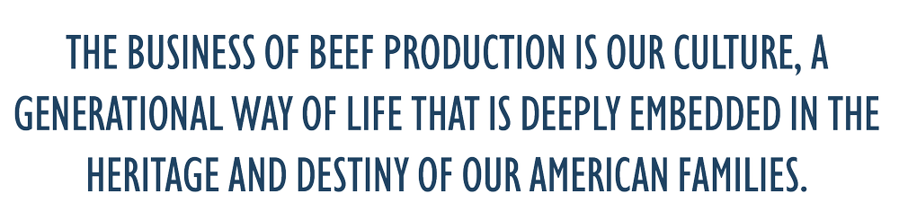 Producer Owned Beef, LLC