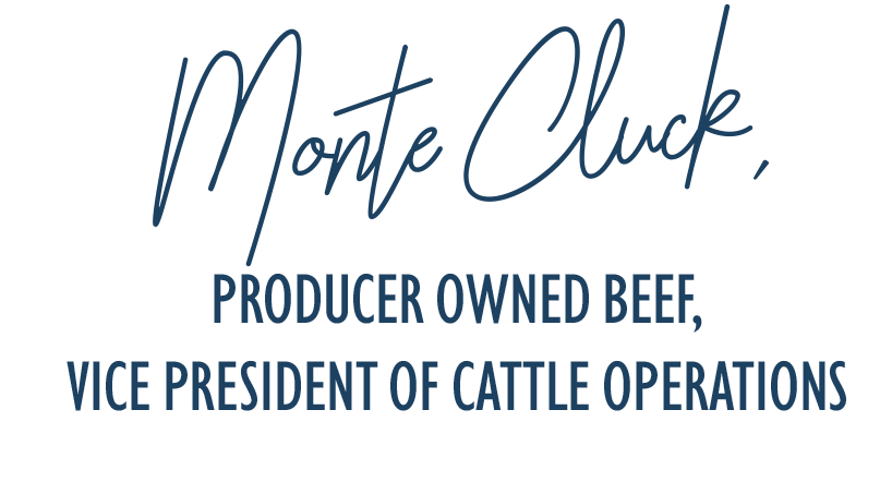 Producer Owned Beef, LLC