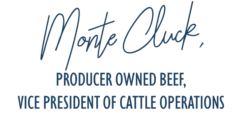 Producer Owned Beef, LLC