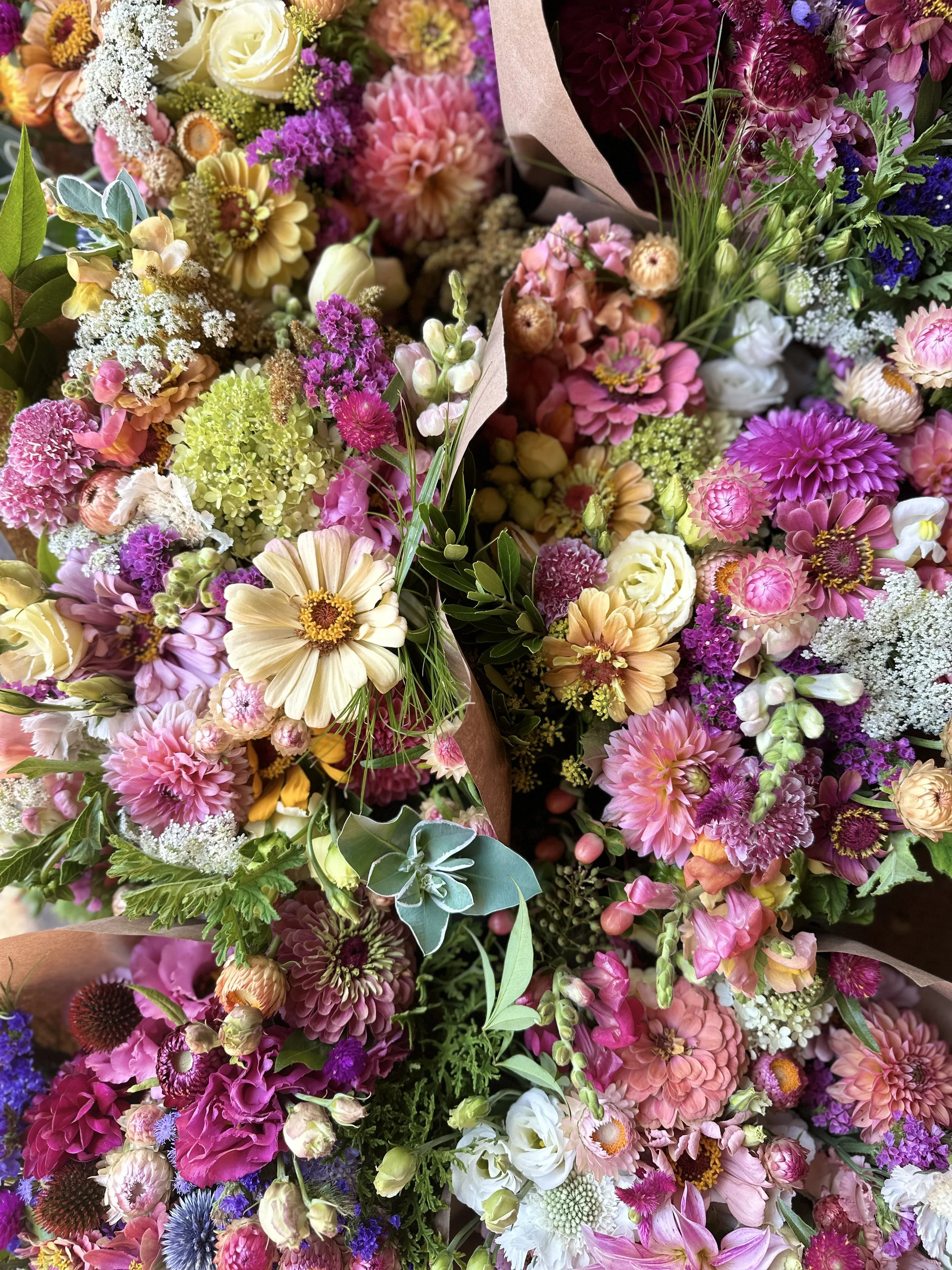 Color Commentary: The “Birthday Cake” Sweet Piedmont Signature Floral ...