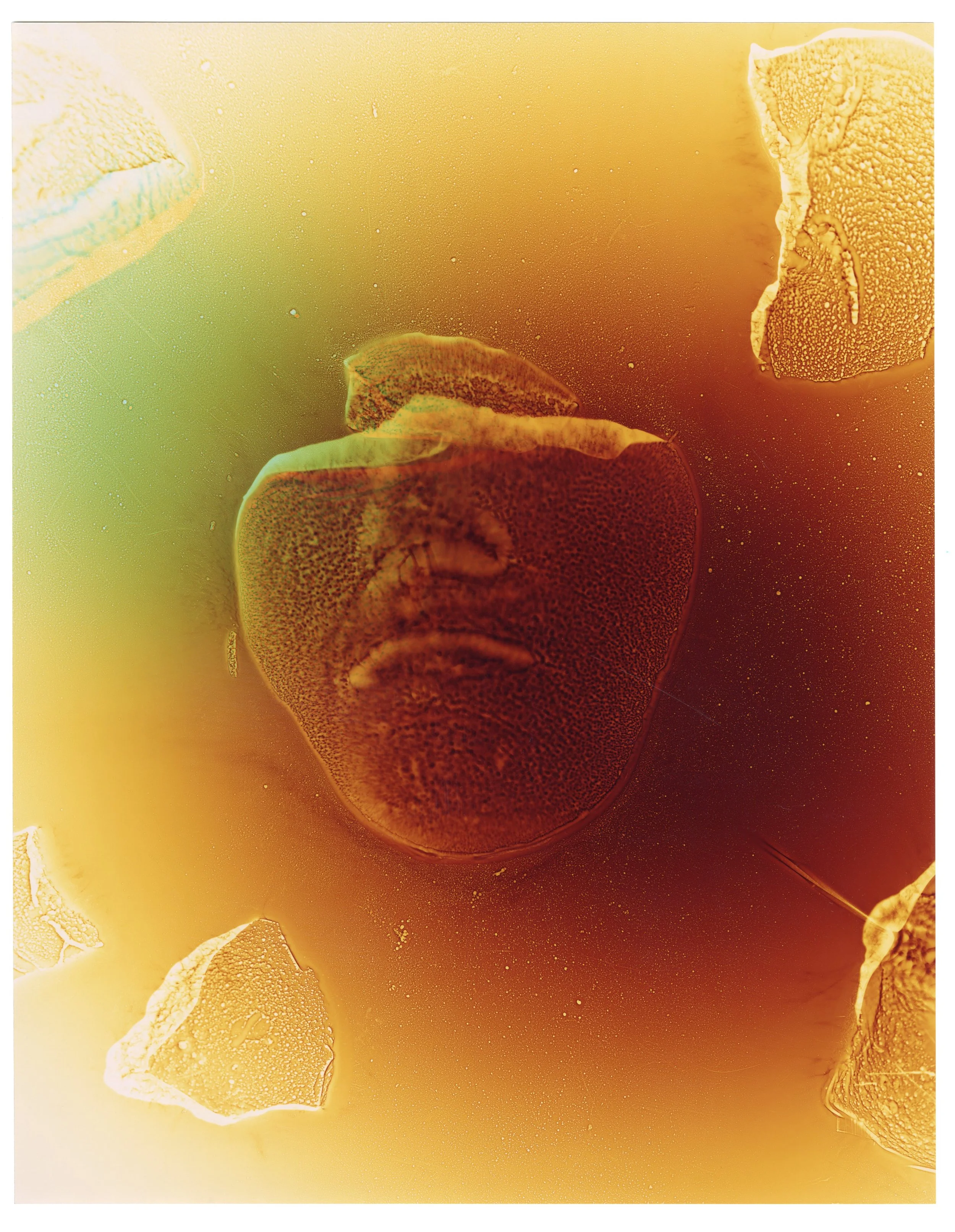 Art Attack! 2025 — PROJECT [BLANK]