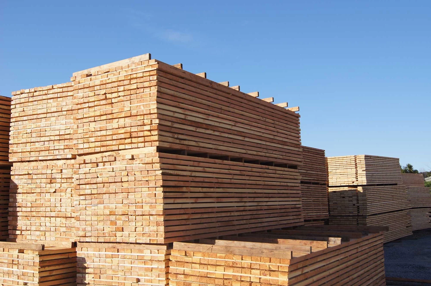 STANDARDS — Verified Timber NZ