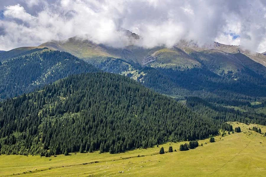 HSNO REQUIREMENTS — NZ Timber Preservation Council