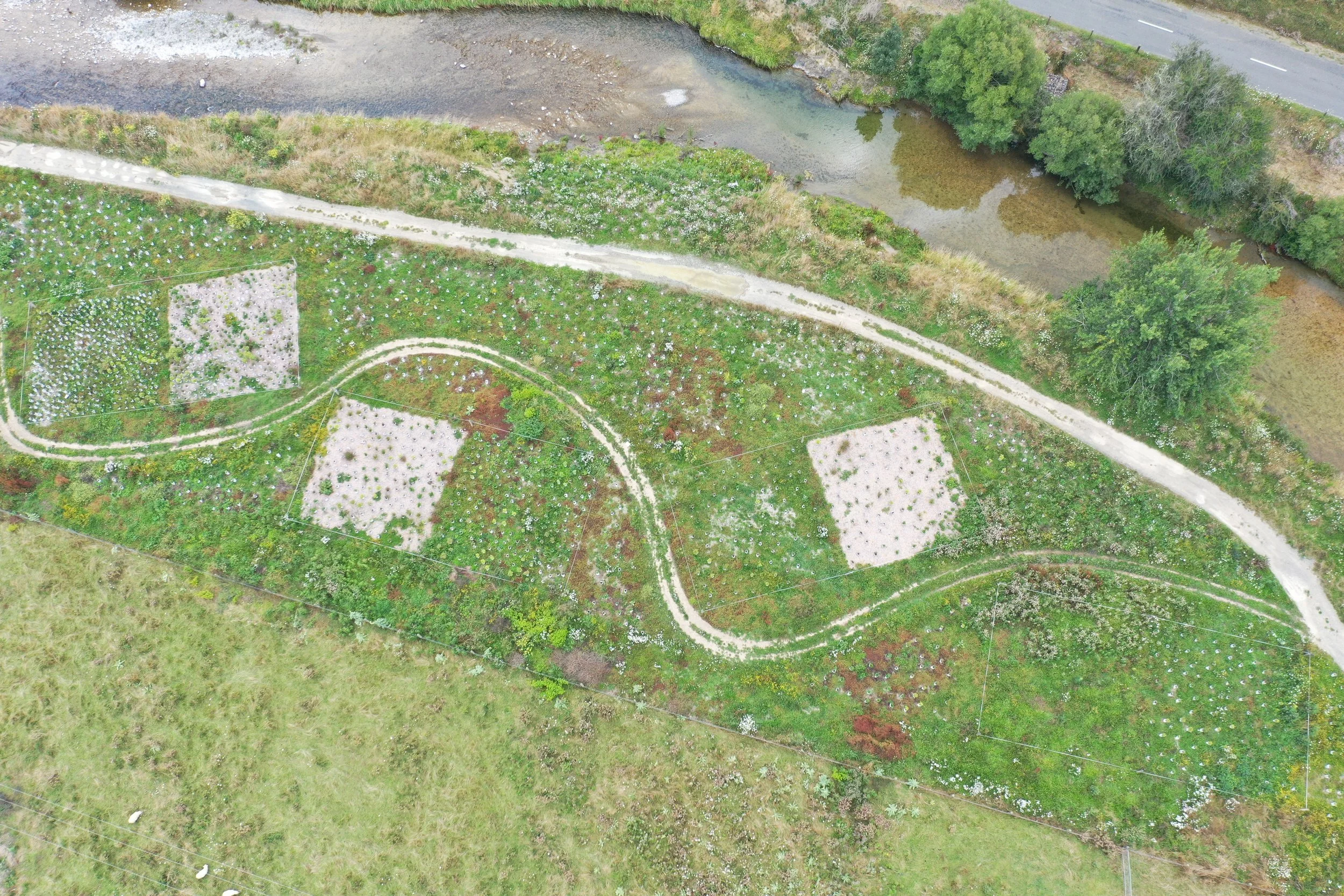 Planting Trial — Forever Trees