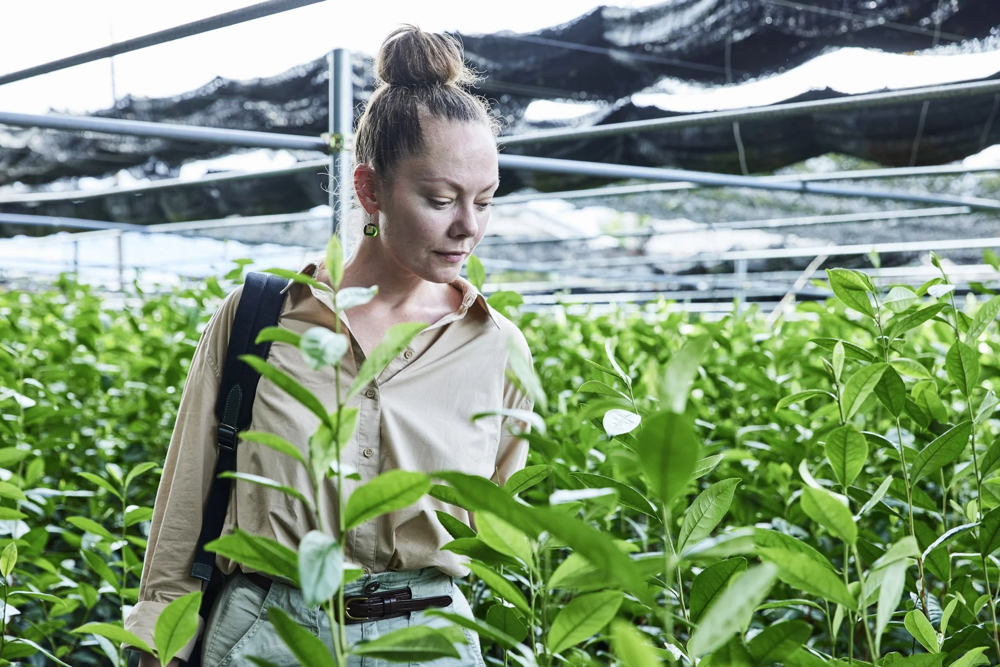 Kyoto | Uji Matcha Tea Farm — Deeper Japan