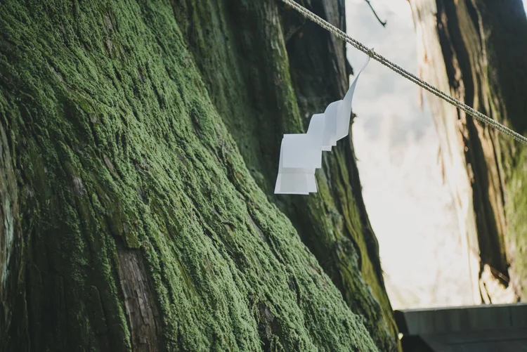Mottainai: Japan’s Culture of Food and Food Waste — Deeper Japan