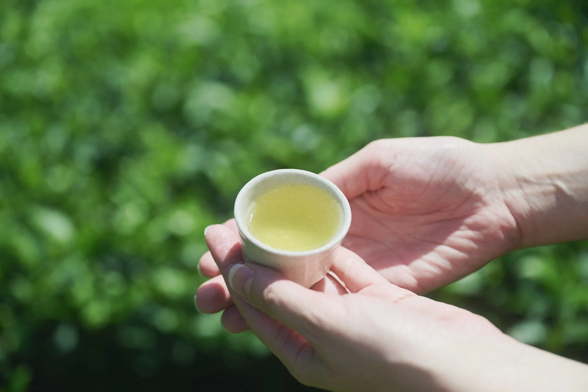 Tea — Deeper Japan
