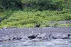 Matagi: The Last Bear Hunters of Japan — Deeper Japan