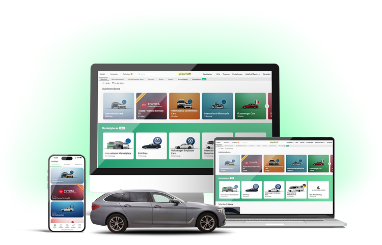 Schnelleinstieg für Käufer — AutoProff DE