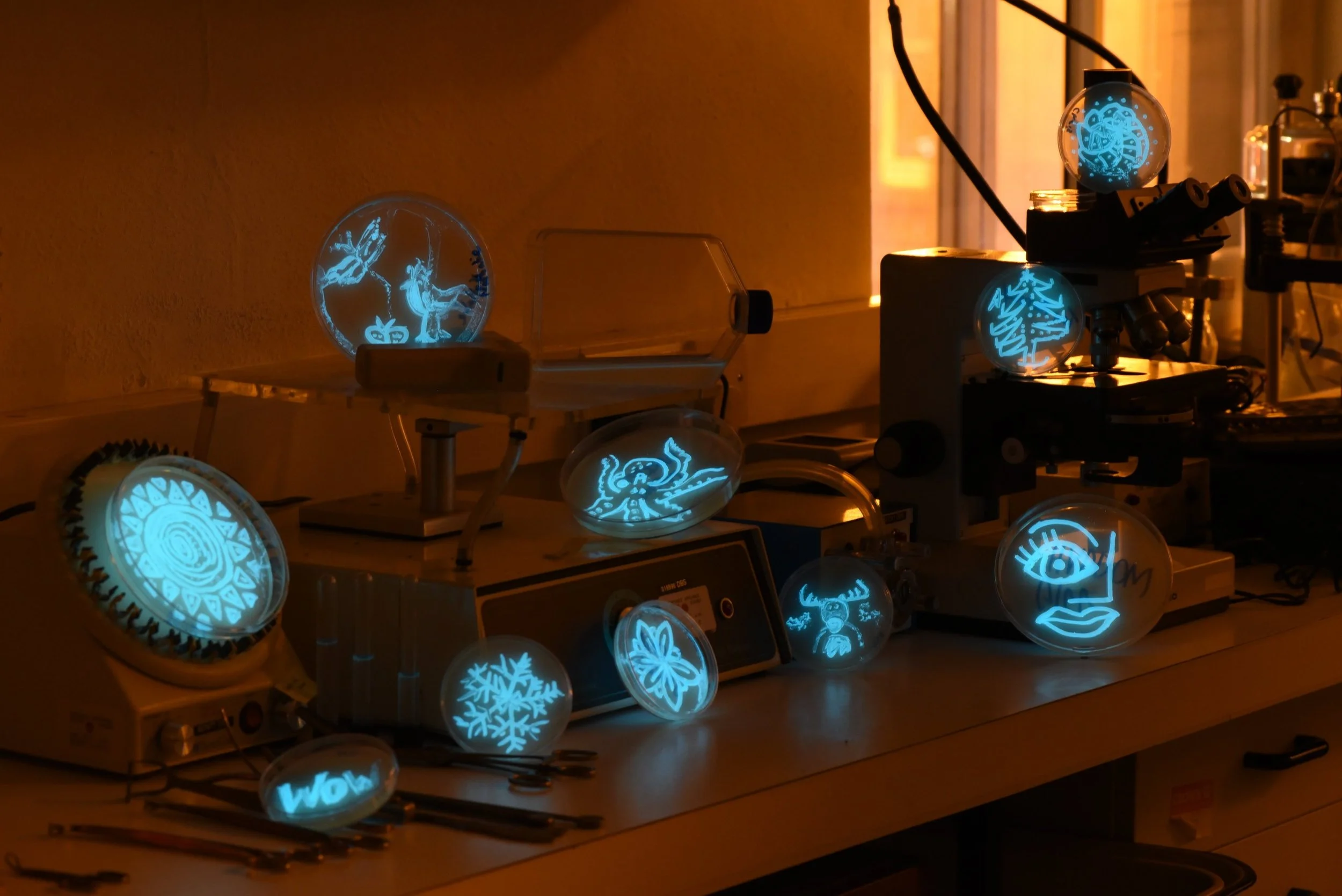 ASCUS Art & Science — Made in Summerhall