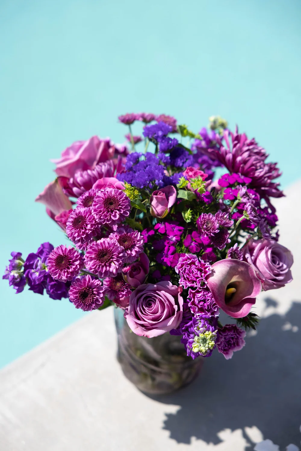 General 2 — Vanderpump Blooms