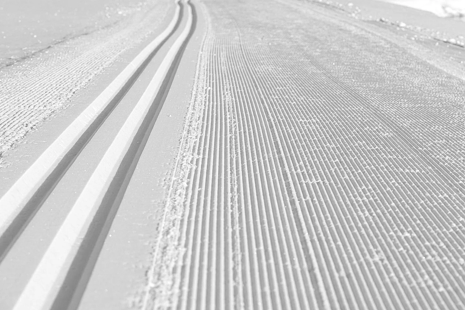Alley Loop — Crested Butte Nordic