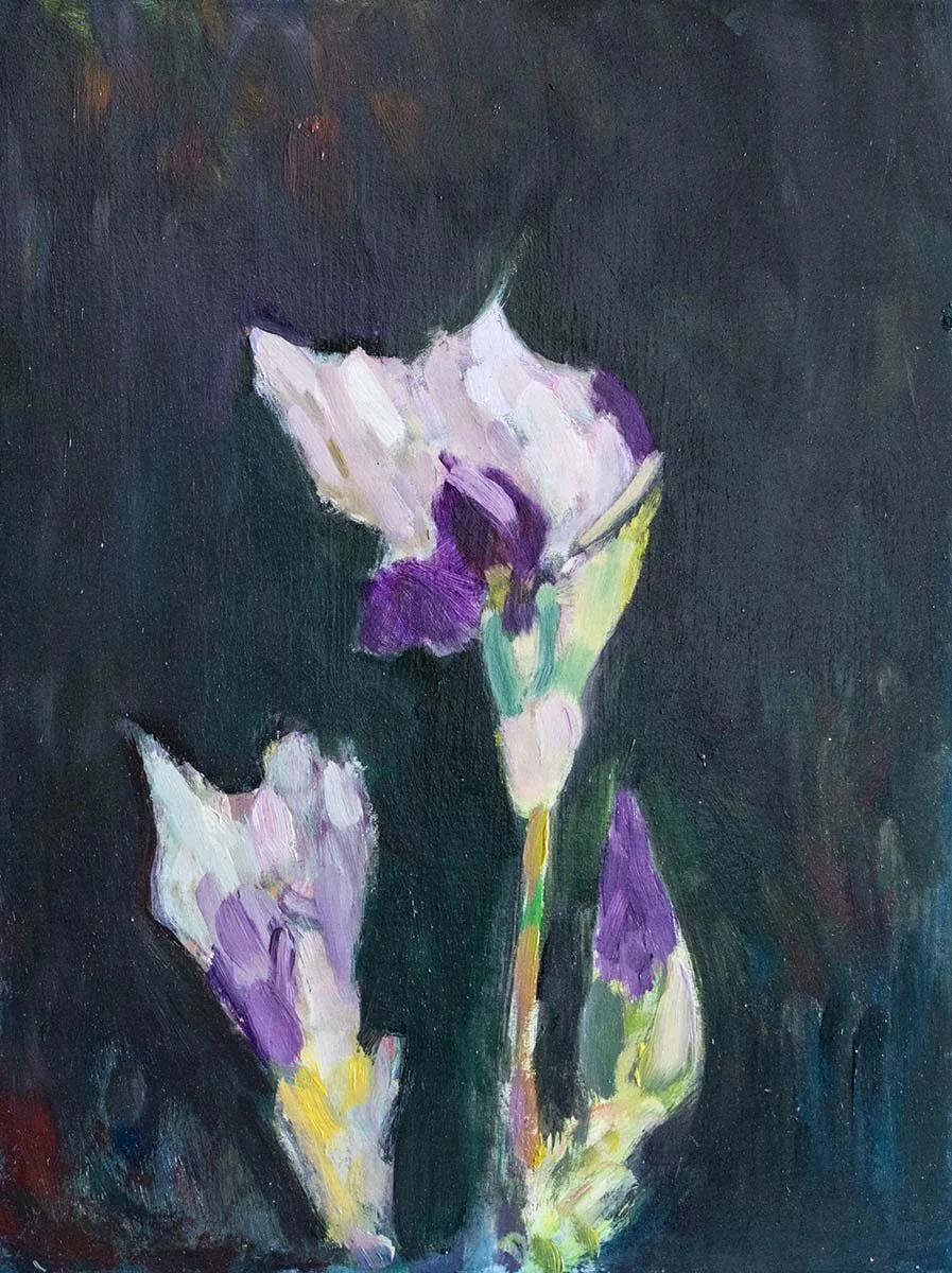 Triple Iris Buds - 12" x 9" — Allen Whiting