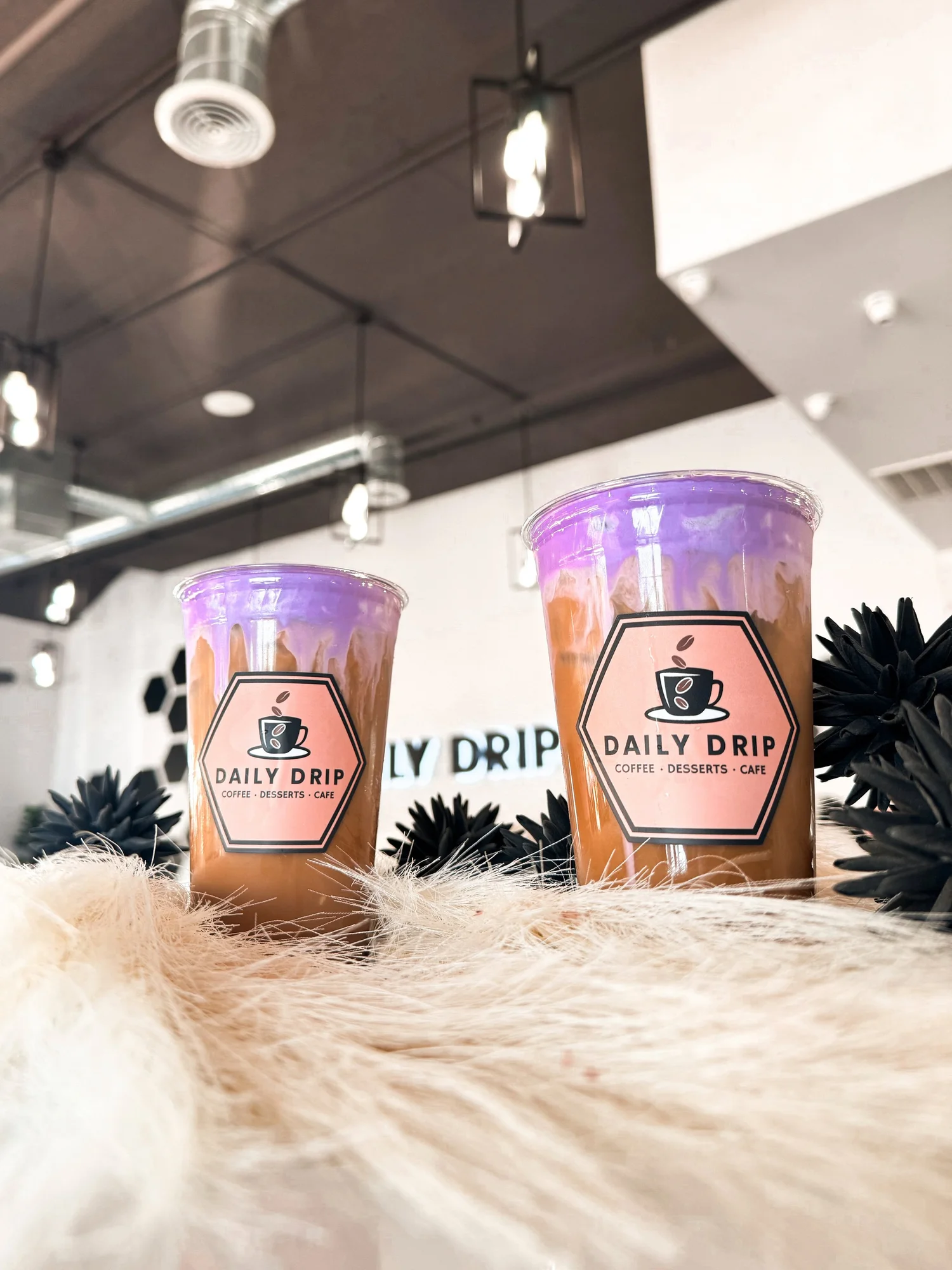 Locations - Glendale, AZ & Scottsdale, AZ — Daily Drip Coffee