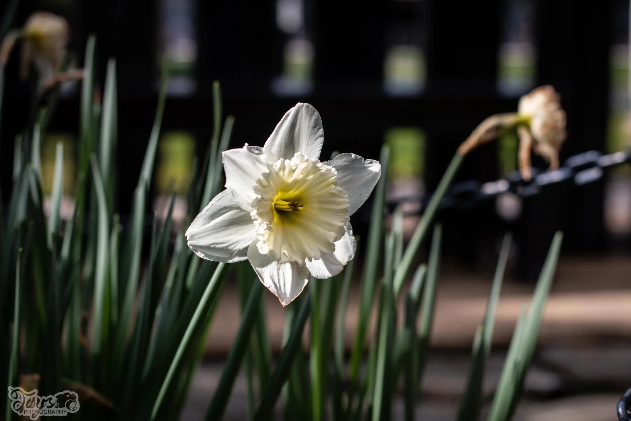 Sculptureum | Discover Unique Art Experiences — Rothko