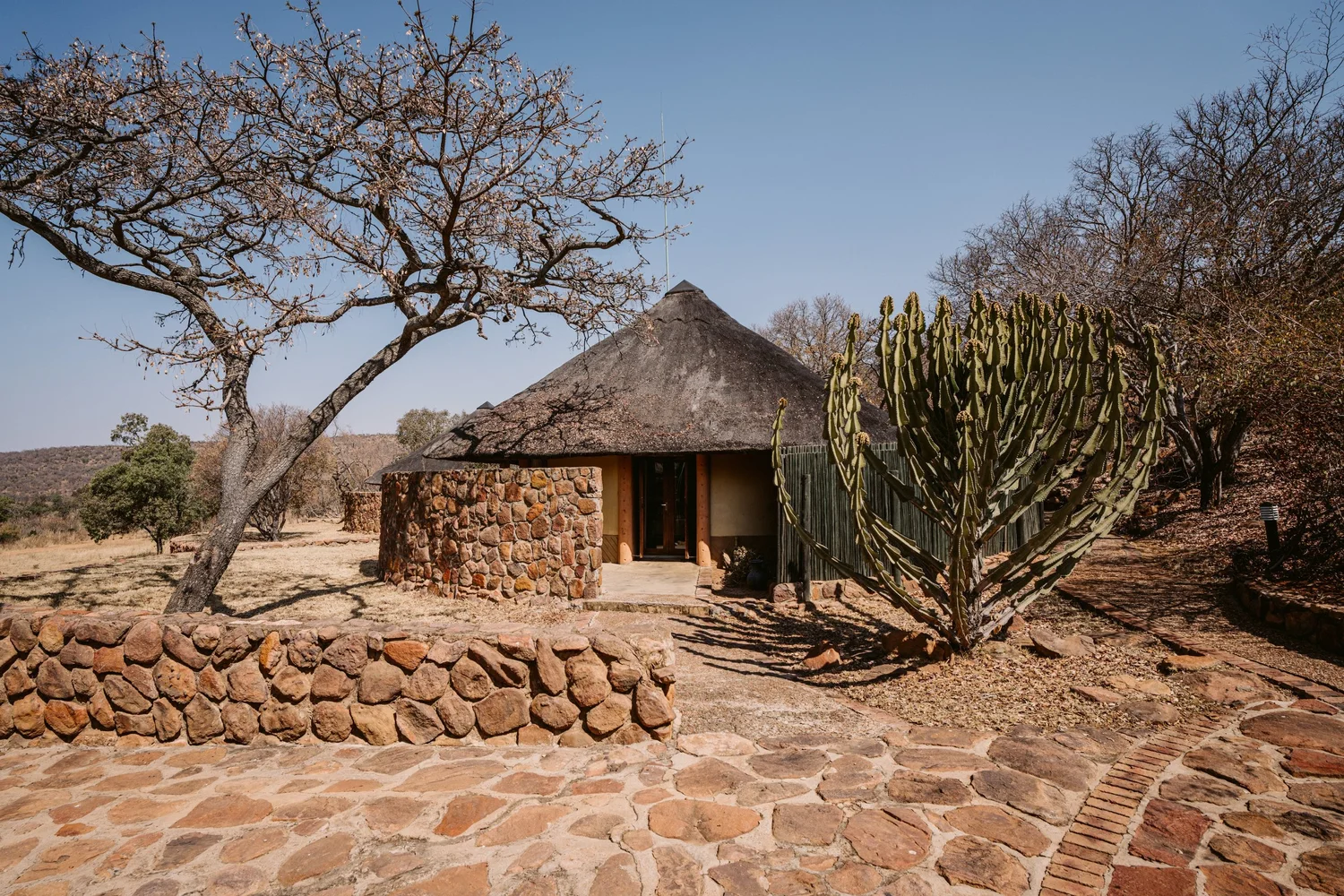 Personal Safari Photographer | Edwina Robertson