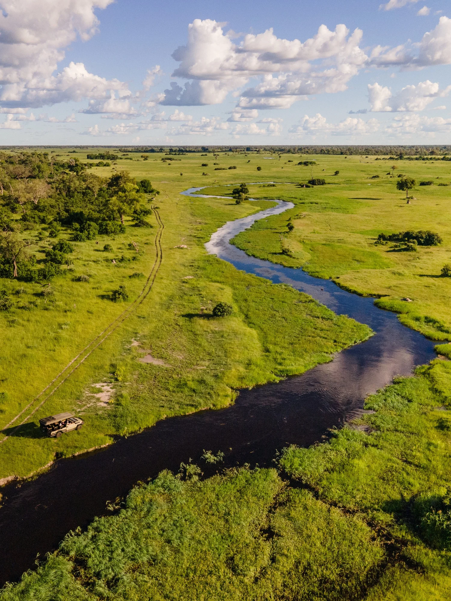 Personal Safari Photographer | Edwina Robertson