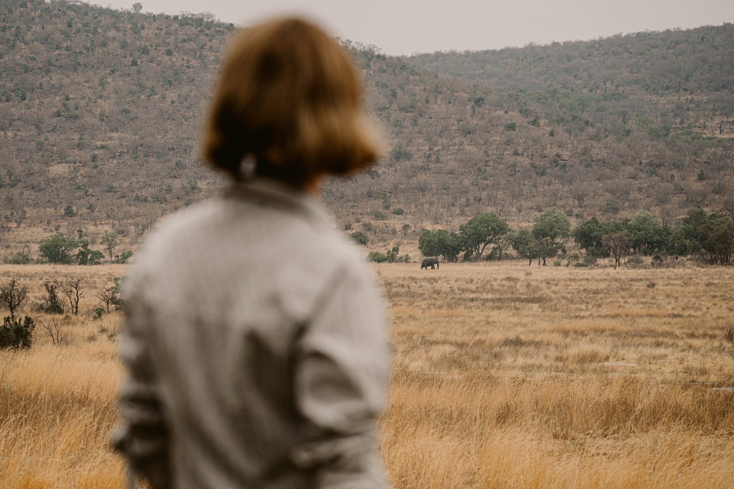Personal Safari Photographer | Edwina Robertson