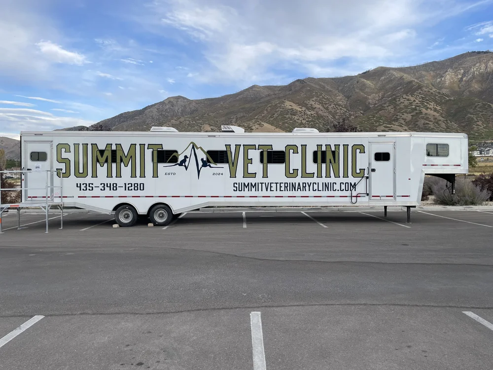 About — Summit Veterinary