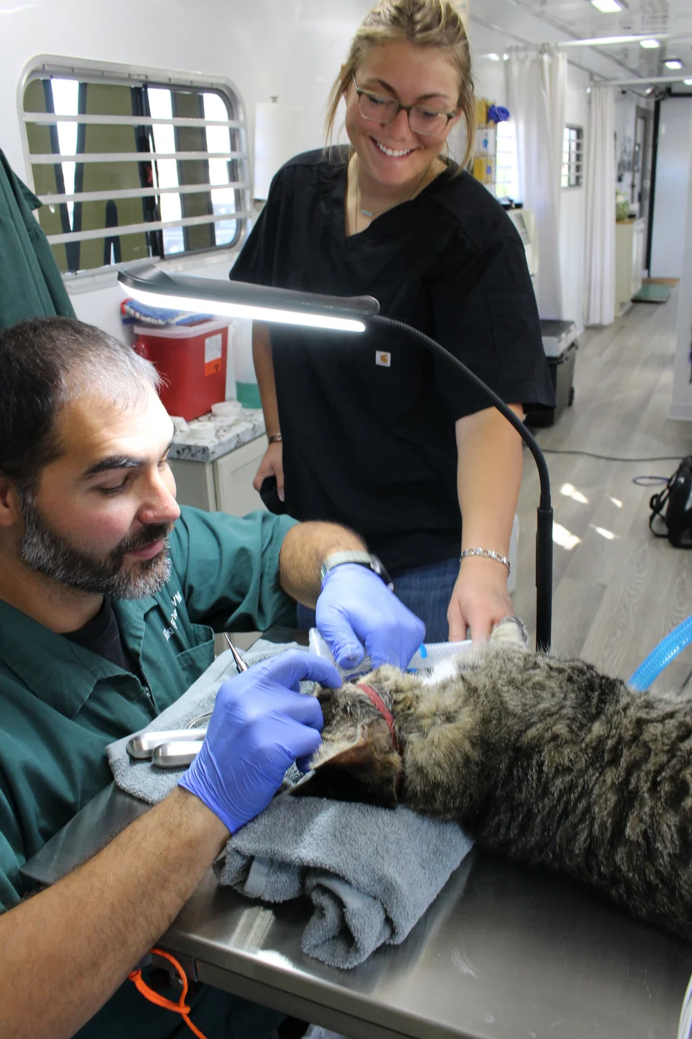 About — Summit Veterinary