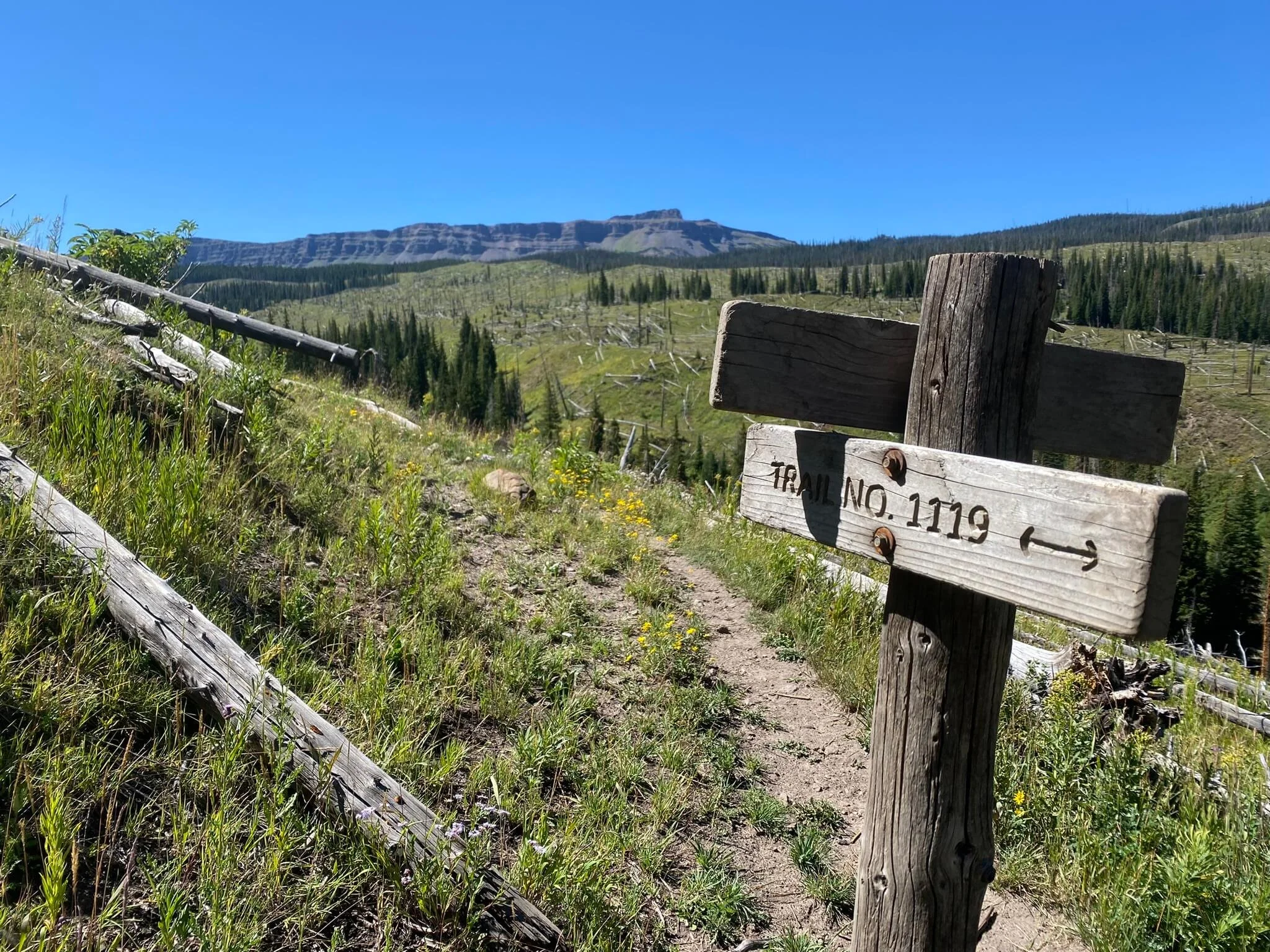 Northern Colorado Trail Guides: Essential Route Information and Data ...
