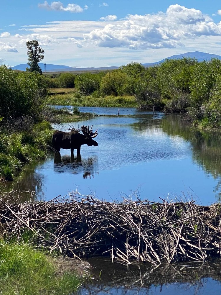 Northern Colorado Trail