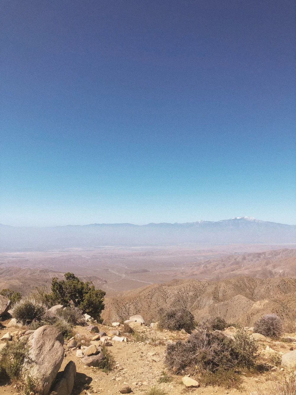 Joshua Tree, California Travel Guide — Three-Day Stay
