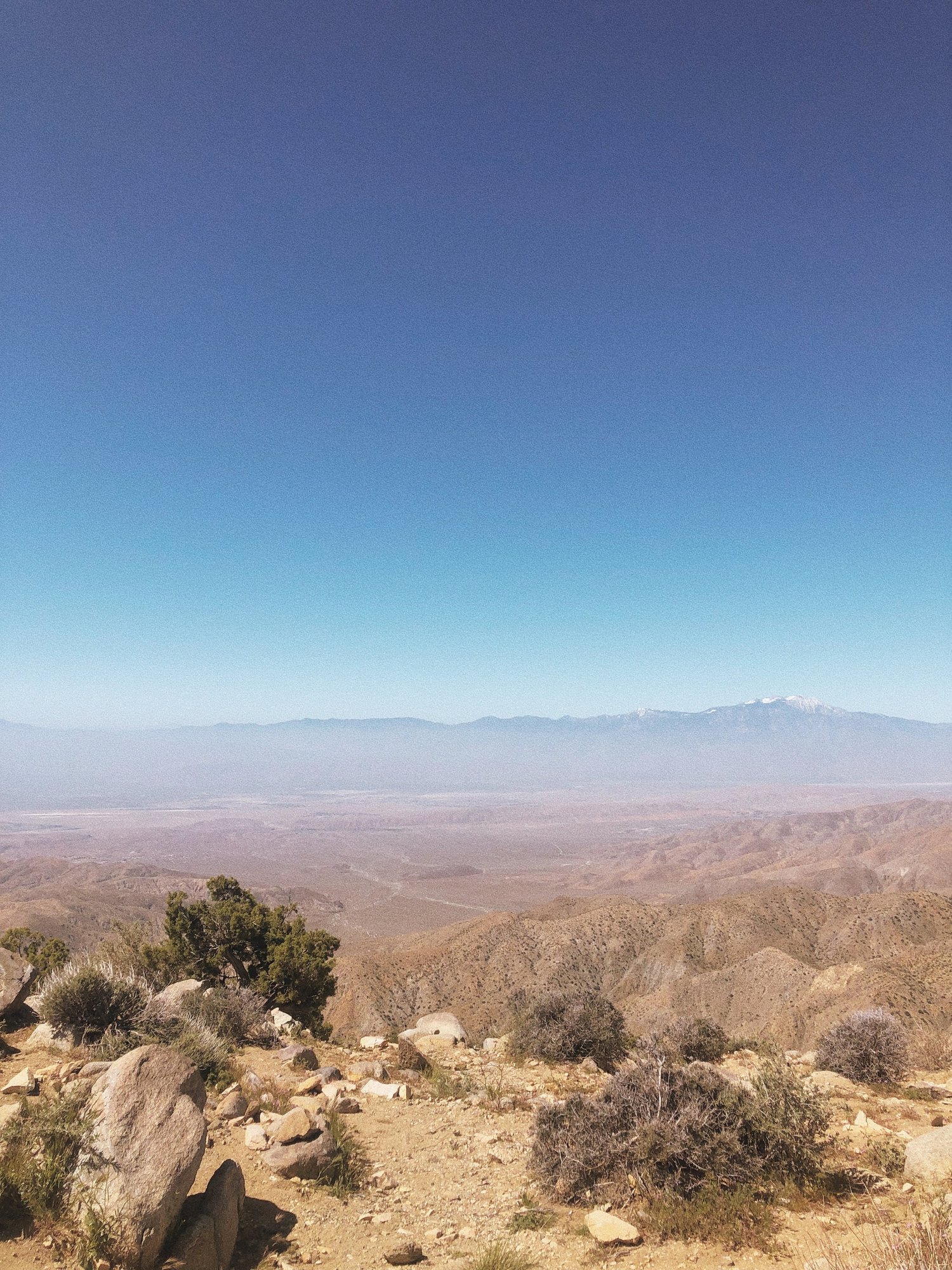 Joshua Tree, California Travel Guide — Three-Day Stay