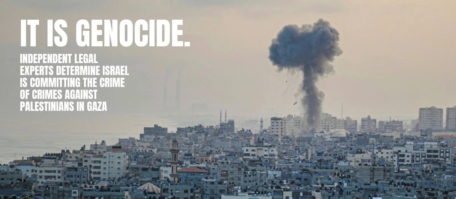 Genocide, Apartheid, and Other Human Rights Abuses in the Occupied ...