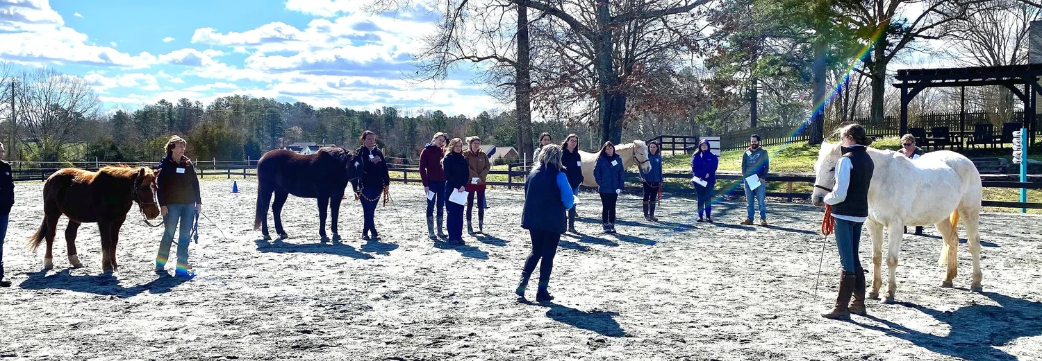 Hippotherapy Courses — American Hippotherapy Association, Inc.